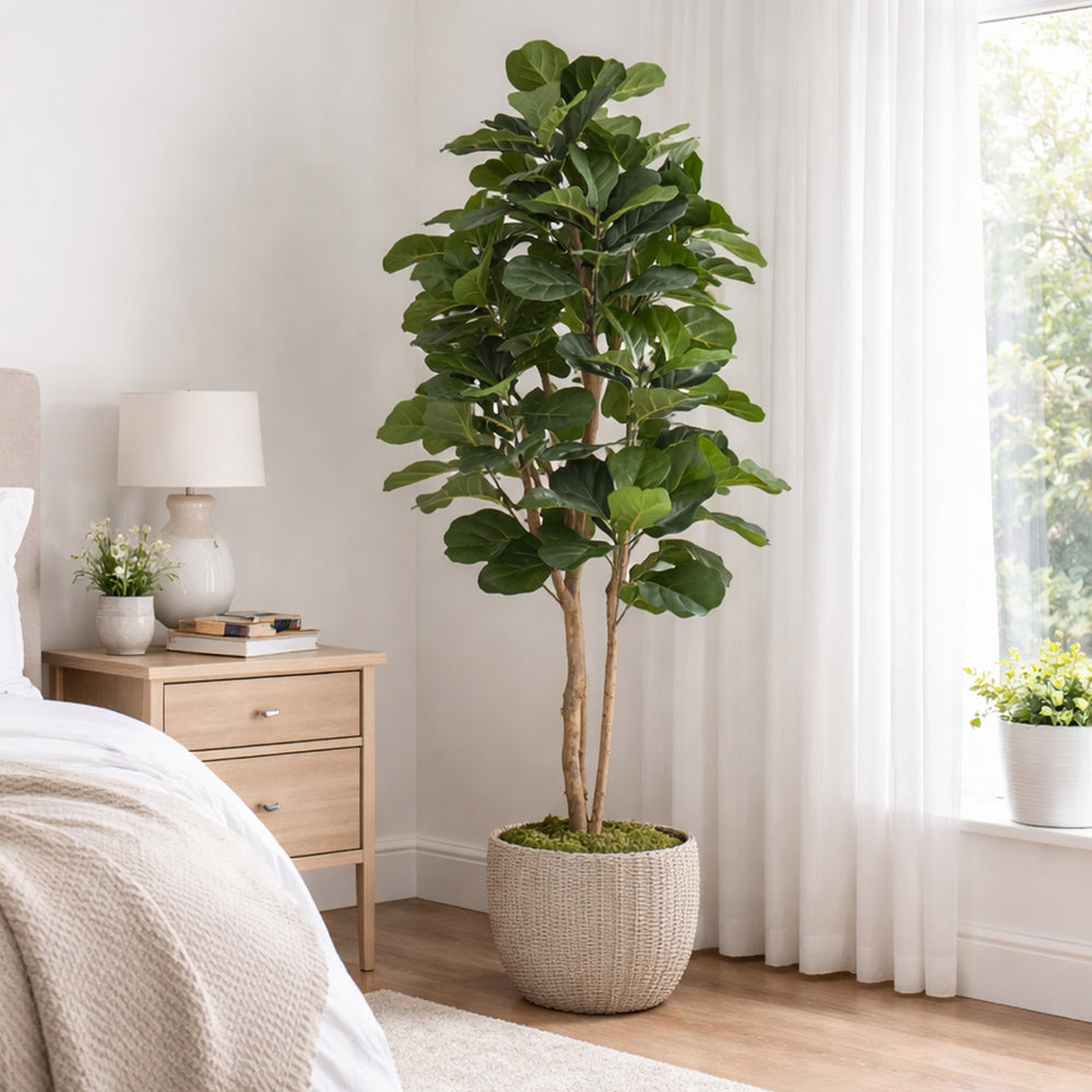 60cm Variegated Artificial Calathea Plant | Leaf – Leaf Artificial ...