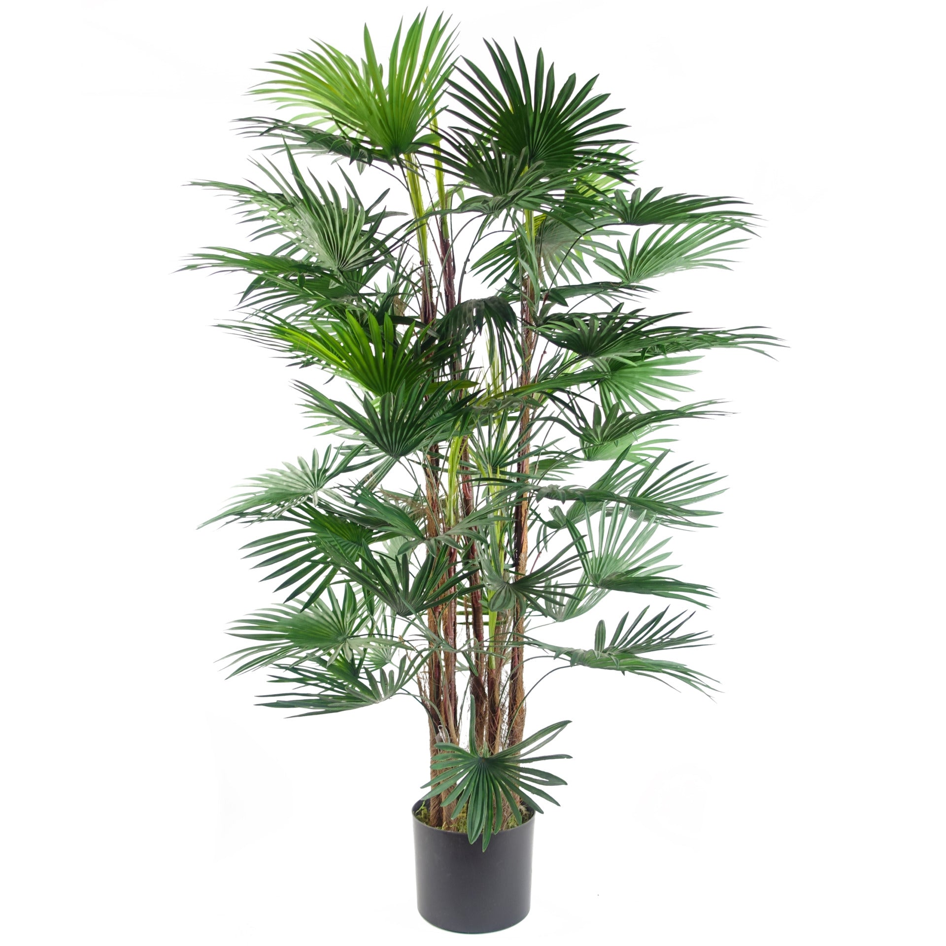 120cm Fan Palm Artificial Tree – Leaf Artificial Plants and Trees