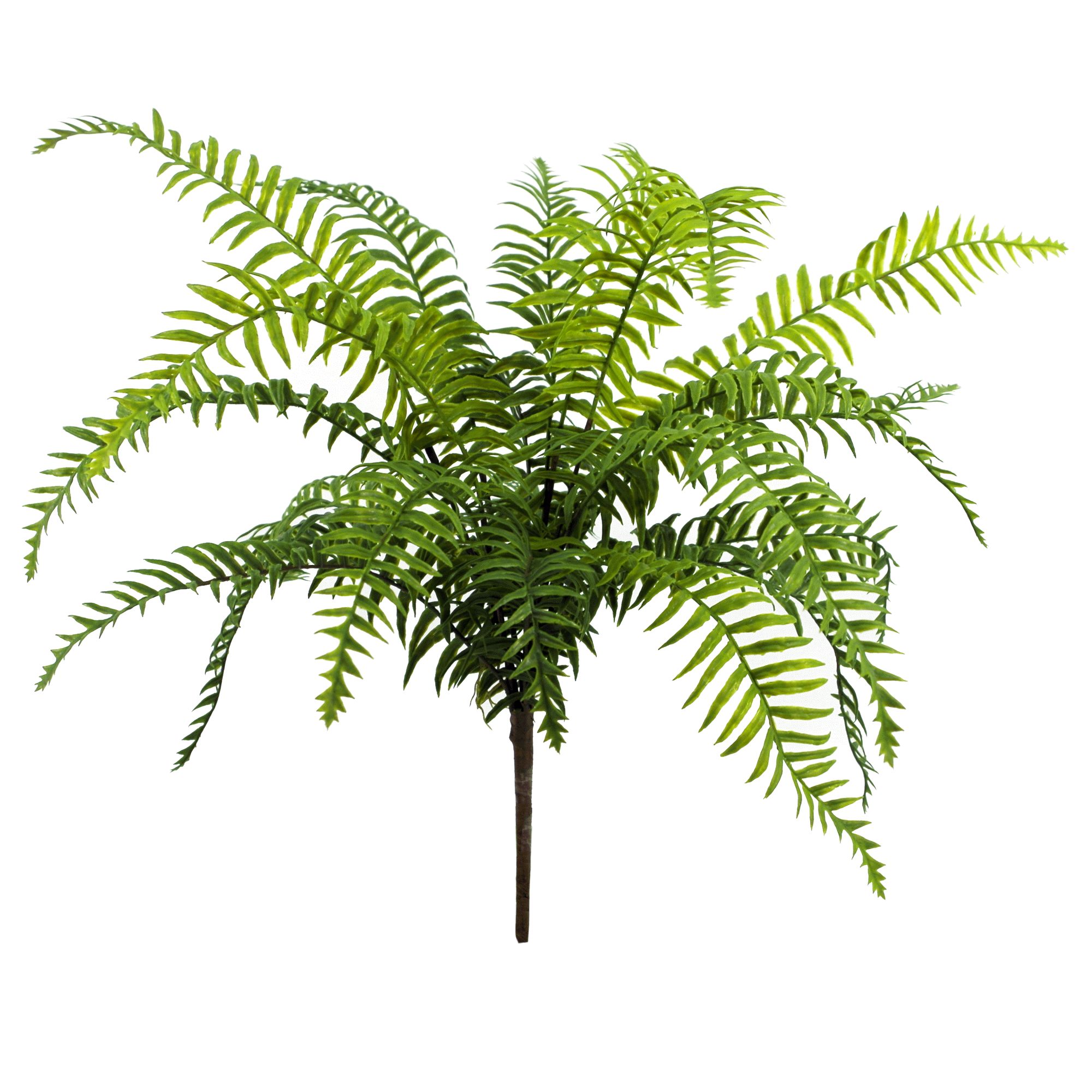 50cm Artificial Boston Fronded Fern Plant – Leaf Artificial Plants and ...