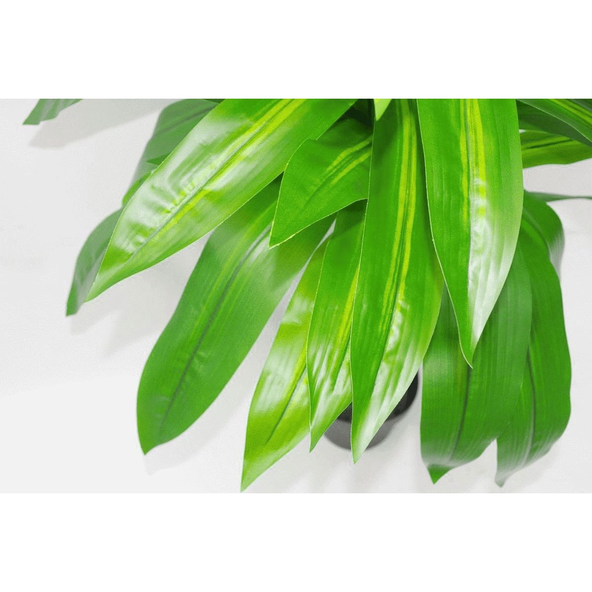 105cm Artificial Dracaena Tree with 2-Tone Realistic Leaves – Leaf ...