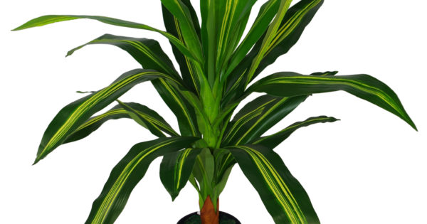 90cm Extra Wide Dracaena Variegated Large Artificial Dragon Plant Tree ...