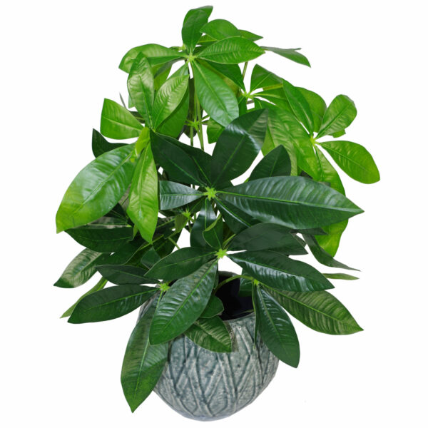 50cm Artificial Money Tree Plant – Leaf Artificial Plants & Trees