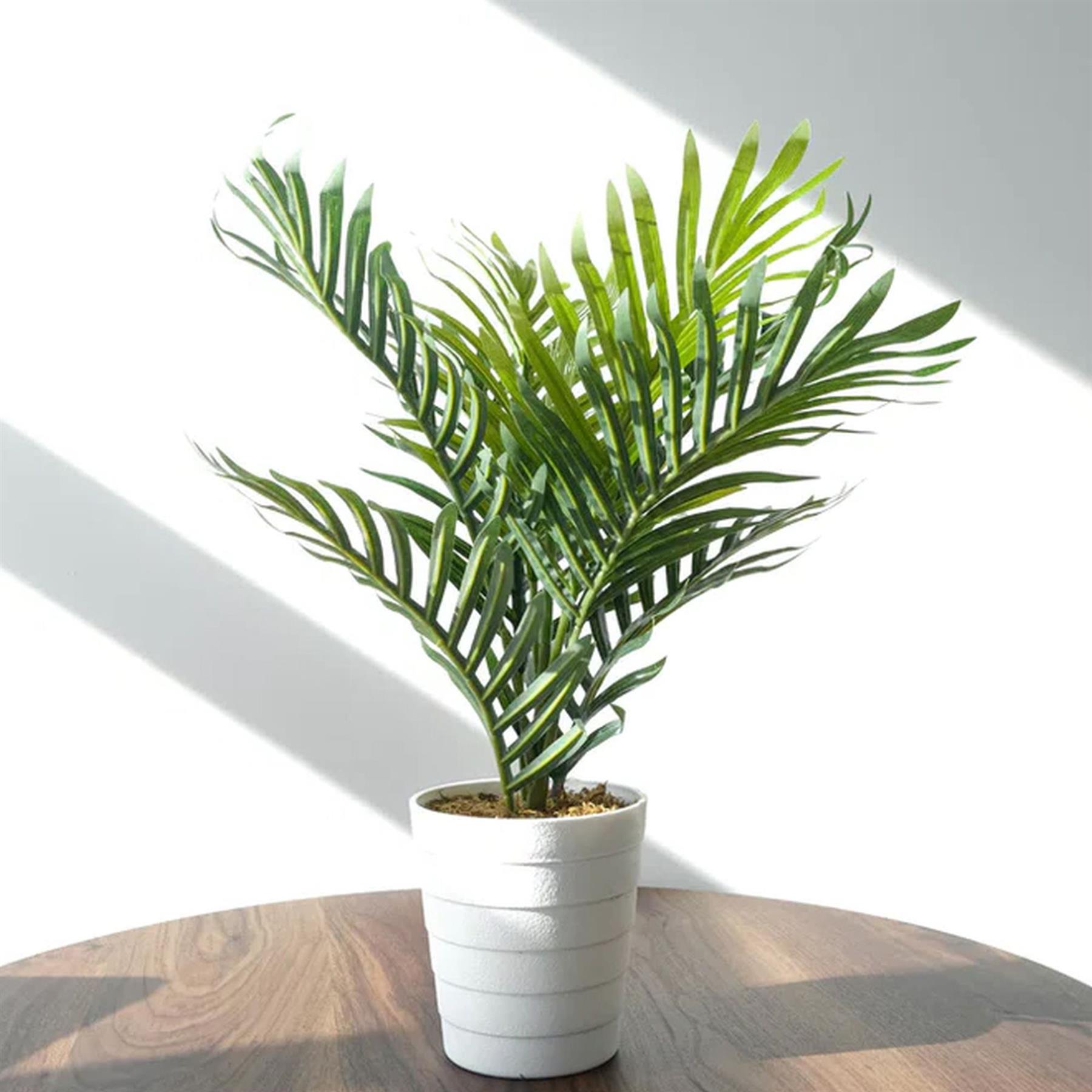 50cm Artificial Mini Palm Tree – Leaf Artificial Plants & Trees