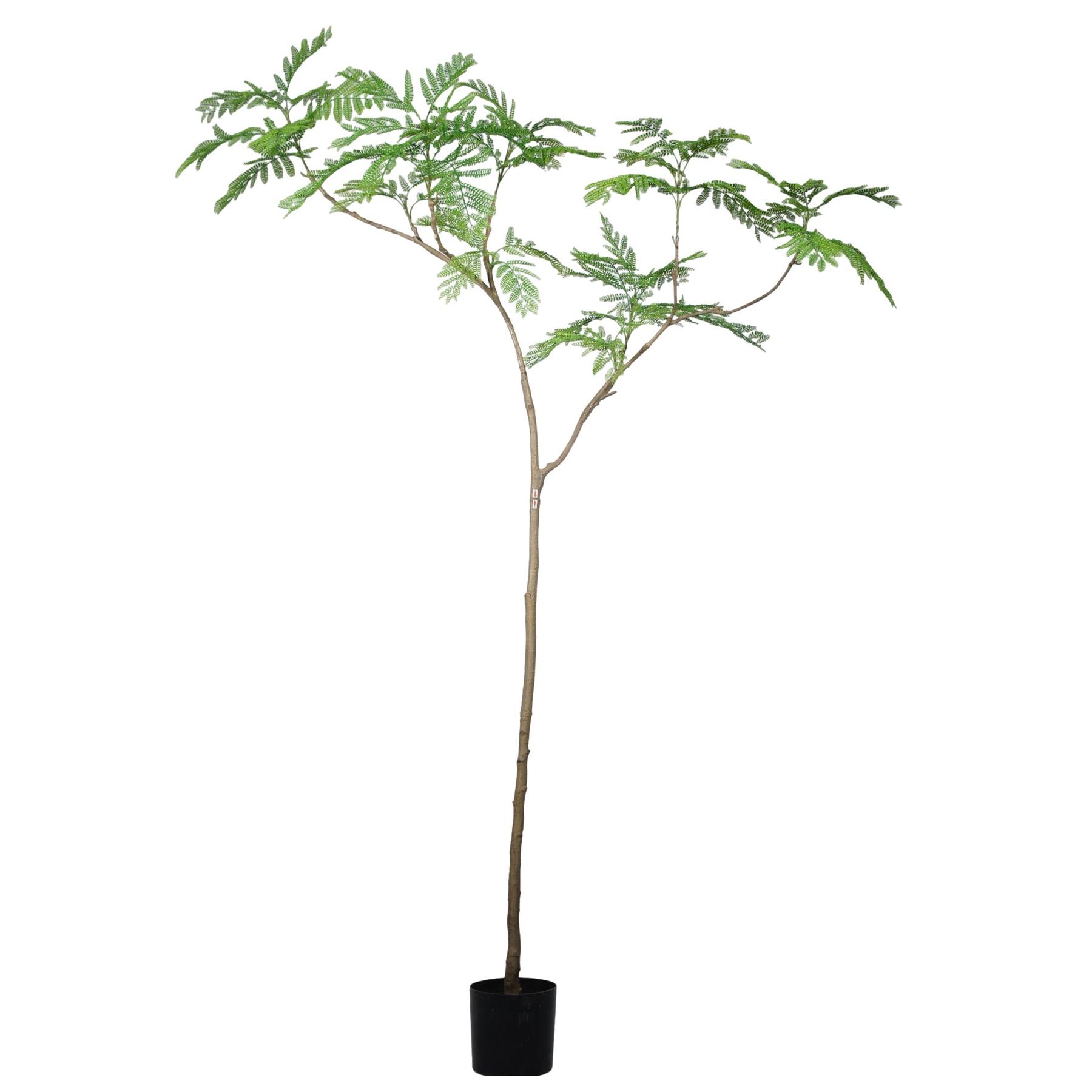 240cm Artificial Jacaranda Realistic Artificial Tree – Leaf Artificial ...