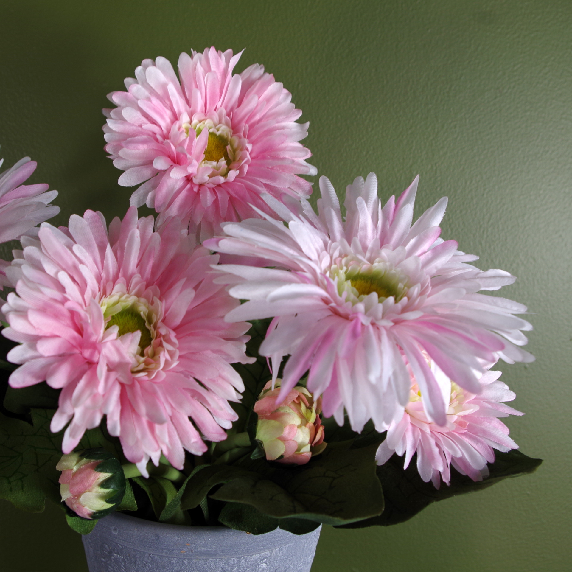 Pink Potted Daisy Flowering Plant Artificial – Leaf Artificial Plants ...
