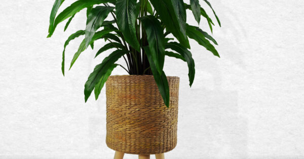 Rattan Effect Composite Planter with Stand – Leaf Artificial Plants & Trees
