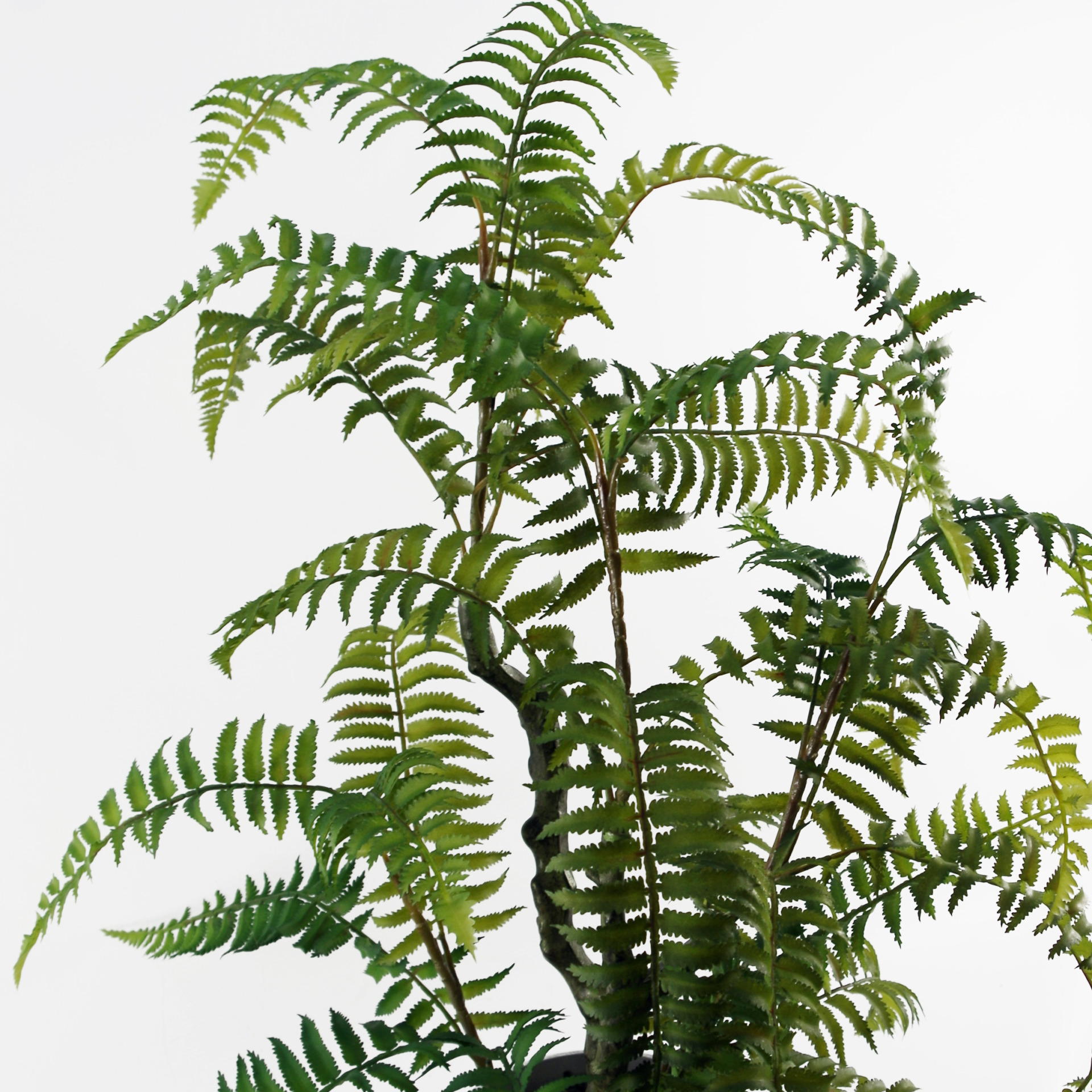 70cm Artificial Fern Tree in Decorative Planter – Leaf Artificial ...