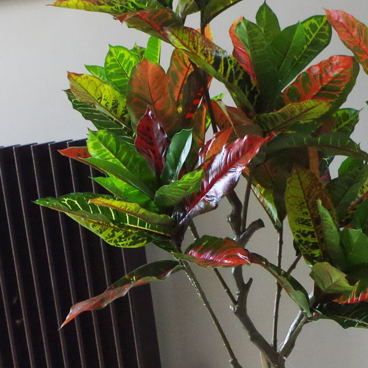 130cm Artificial Codiaeum Multicoloured Tree – Leaf Artificial Plants ...