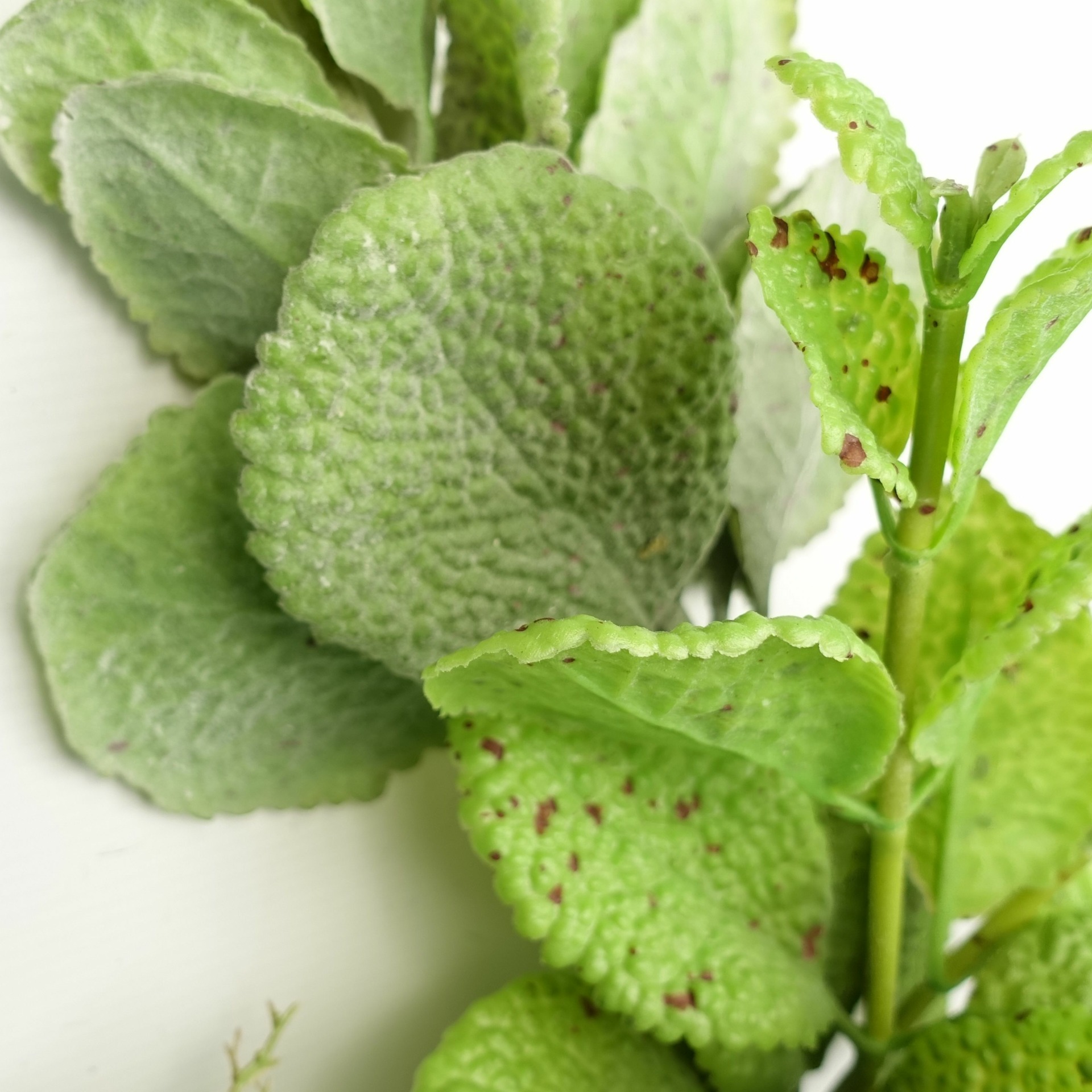 125cm Artificial Trailing Hanging Mint Leaf Garland Plant Realistic ...