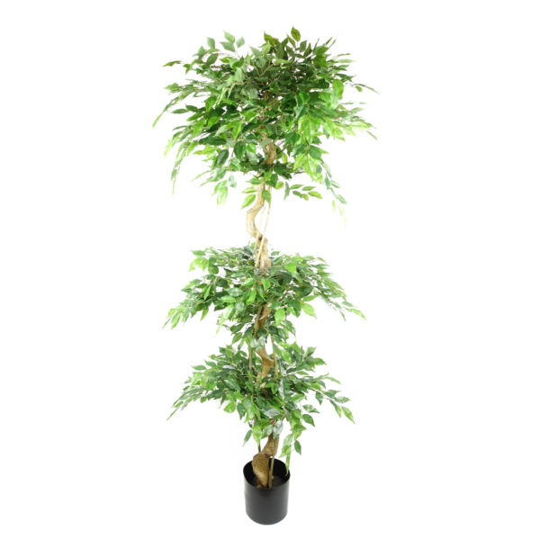 180cm Artificial Twisted Trunk Fruticosa Ficus Tree Triple Ball Topiary ...
