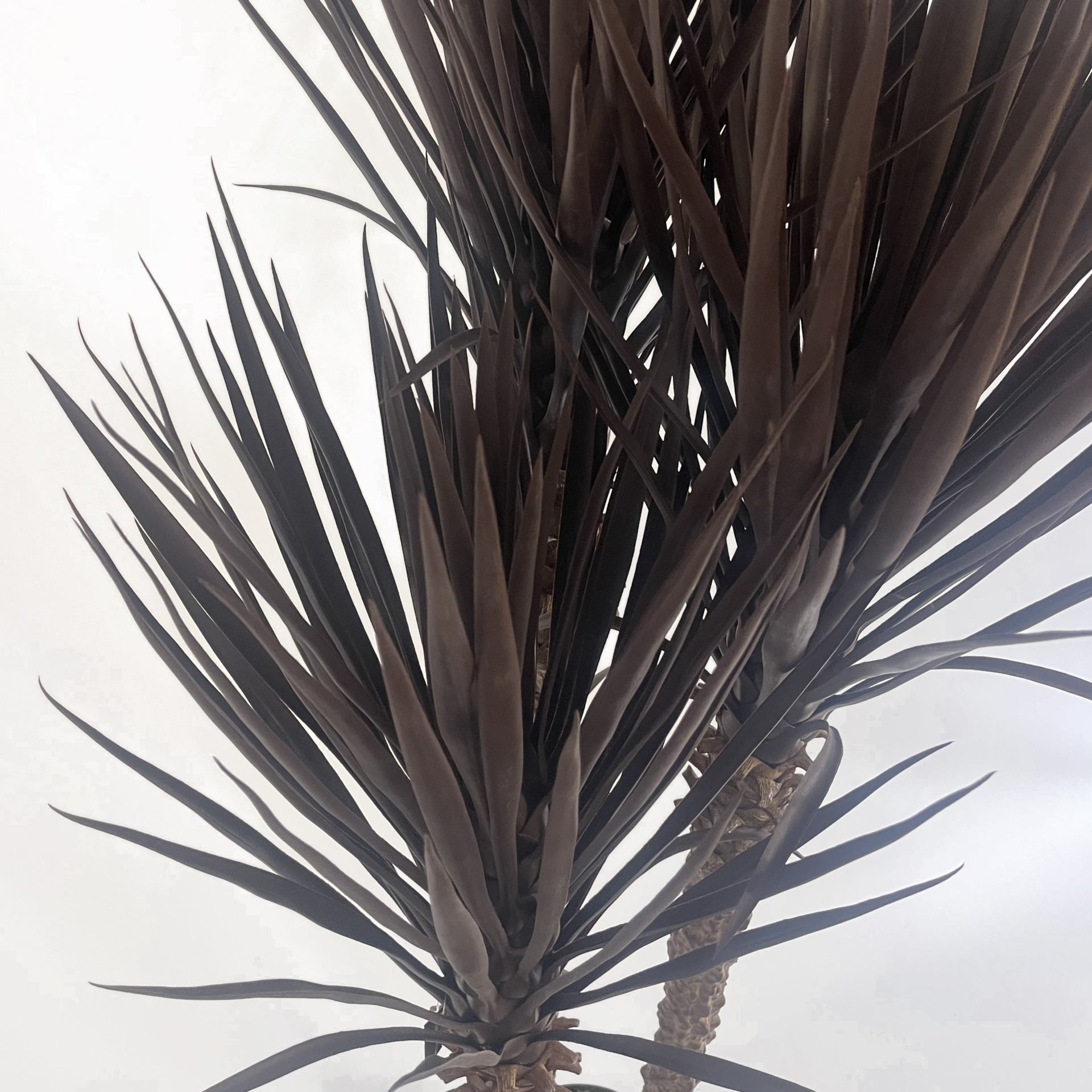155cm Artificial UV Resistant XL Triple Yucca Tree Plant Spiky Tree ...