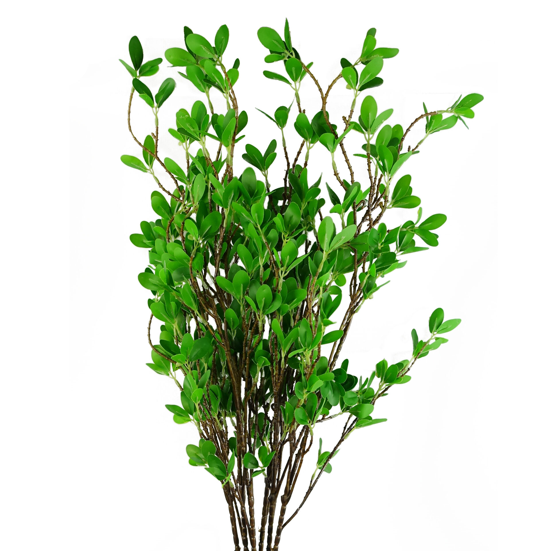 Pack of 6 x 100cm Mini Leaf Ficus Stem – Leaf Artificial Plants & Trees