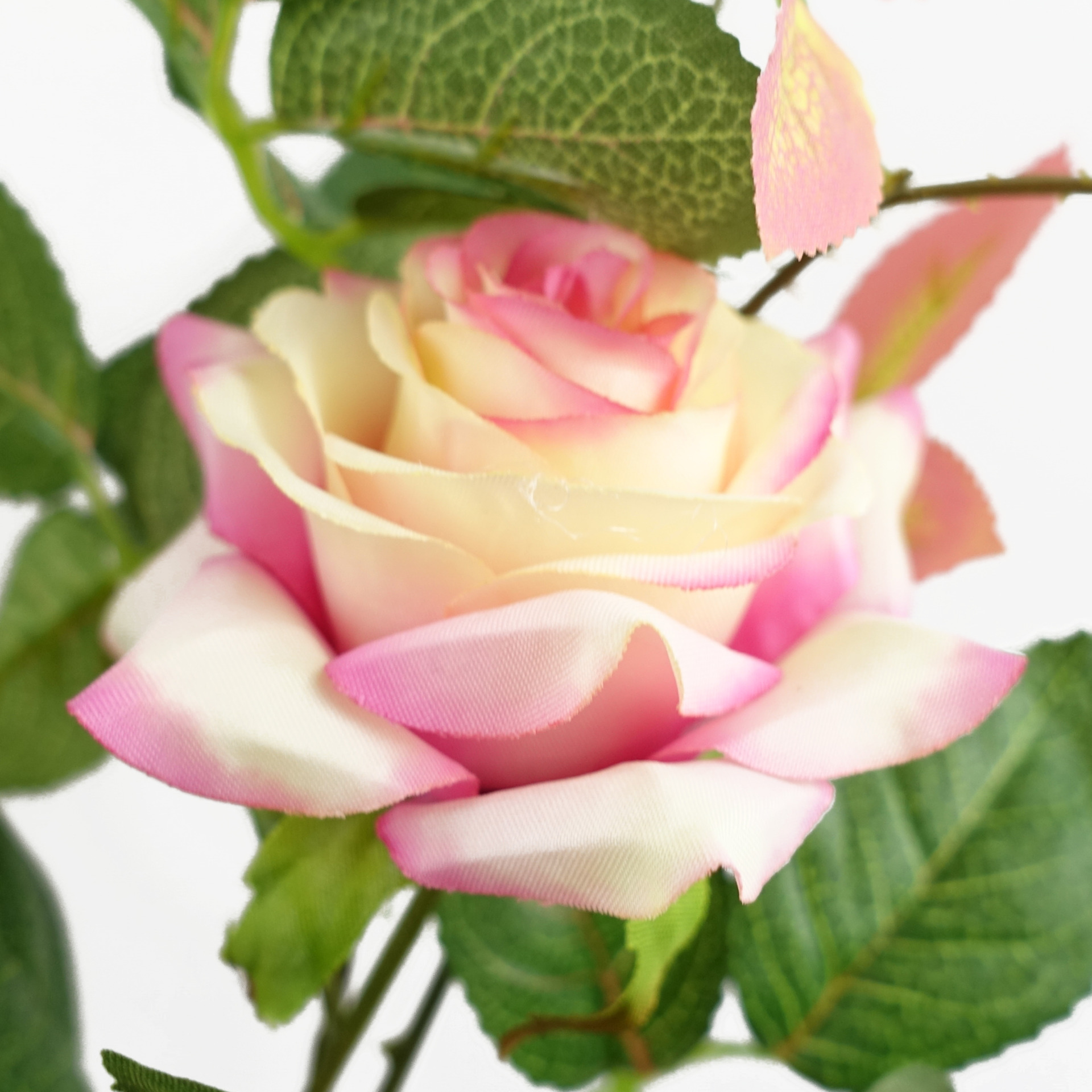50cm Artificial Pink Rose Plant – Leaf Artificial Plants & Trees