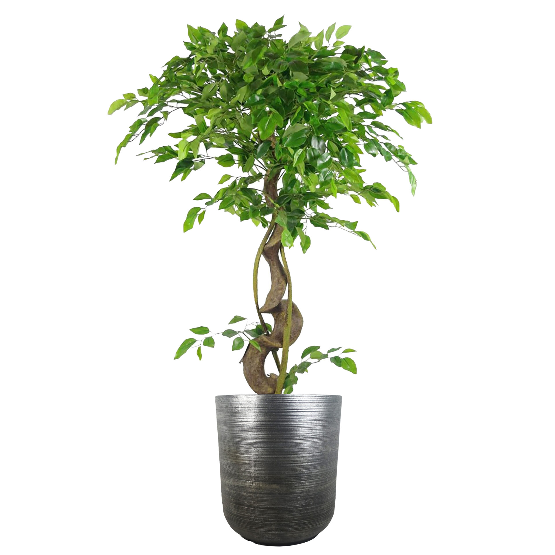 39cm x 33cm Coya Silver Ridged Planter Large Composite Plant Pot – Leaf ...