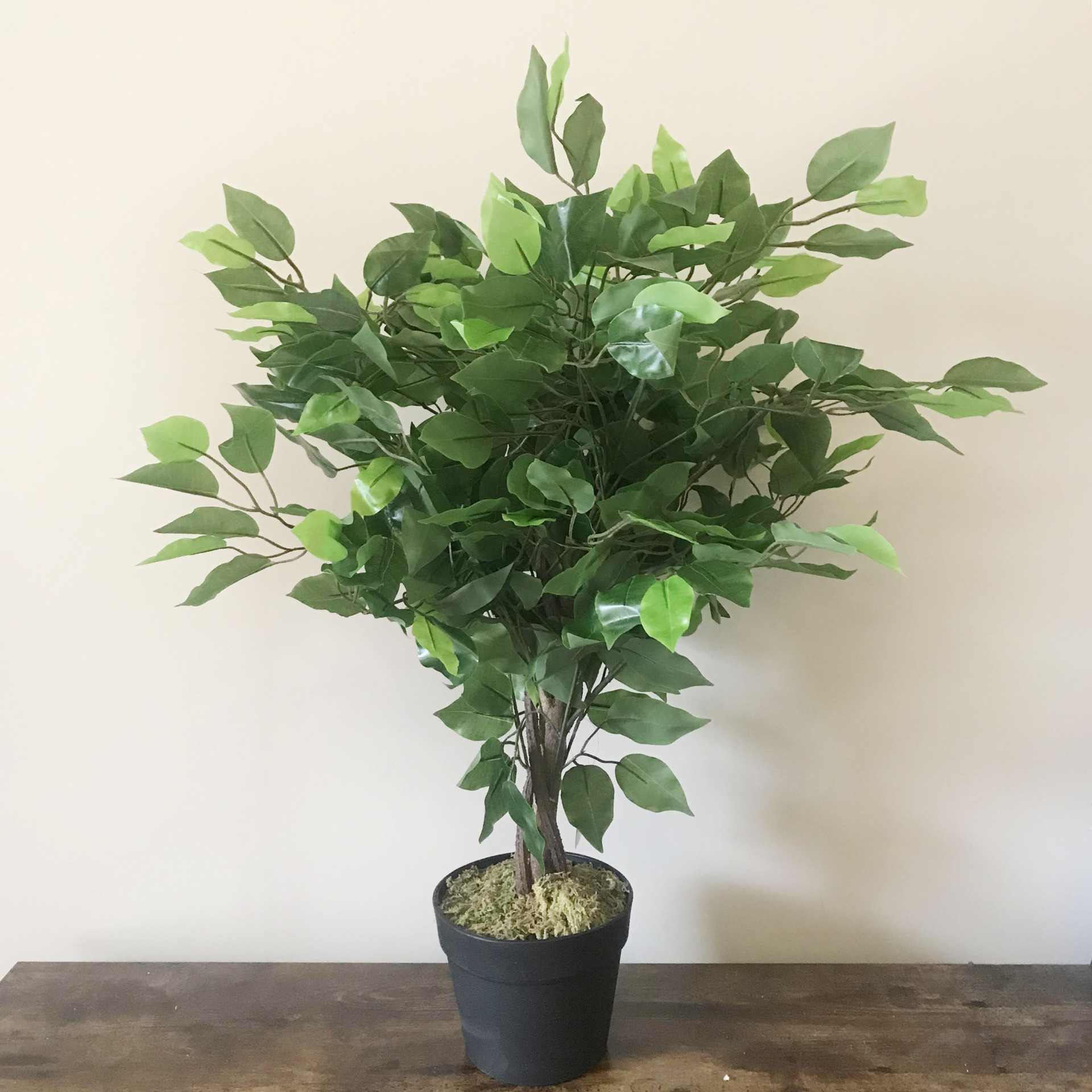 60cm Artificial Ficus Tree / Plant – Large Bushy Shape – Leaf ...