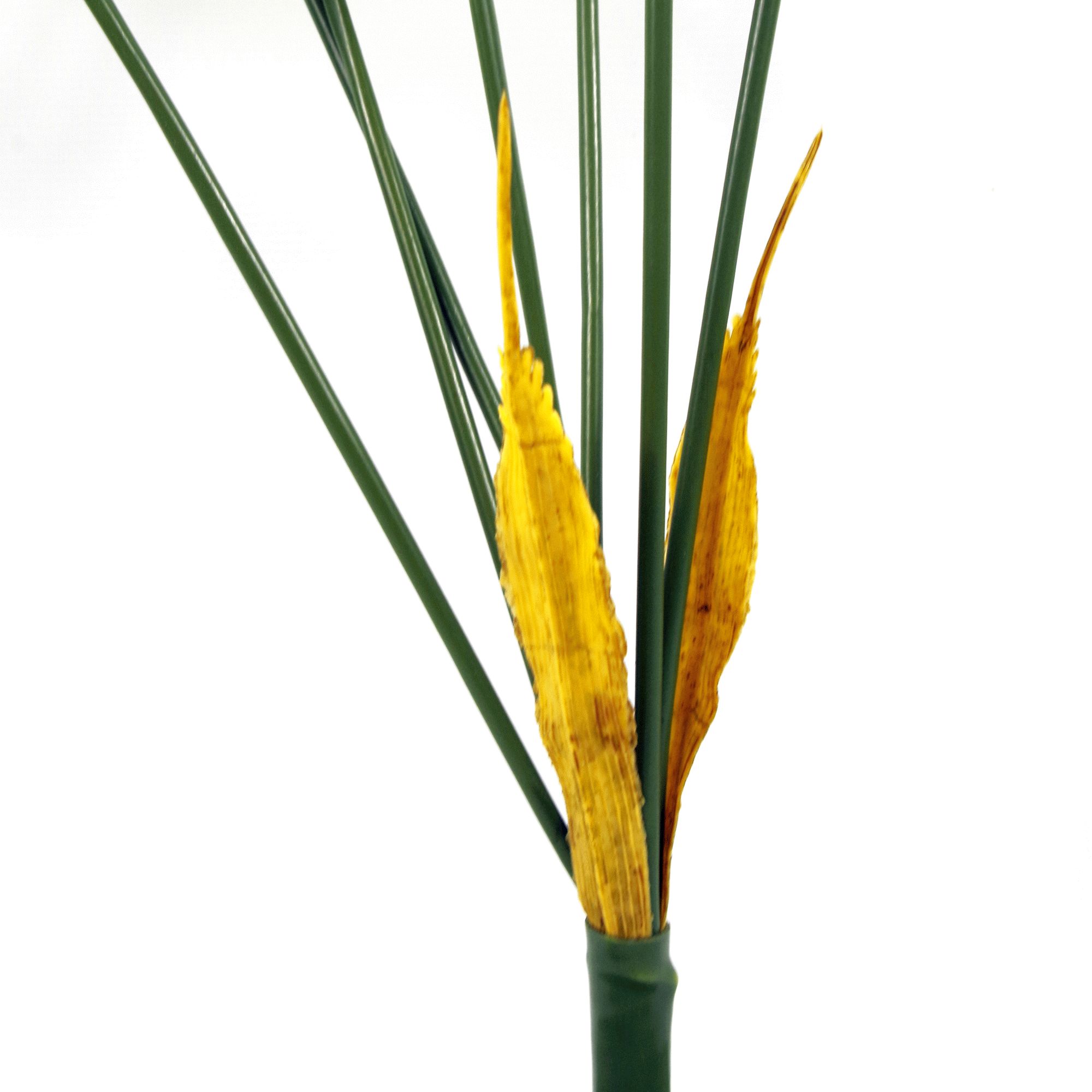 75cm Artificial Palm Tree – Unpotted 6 Leaves – Leaf Artificial Plants ...