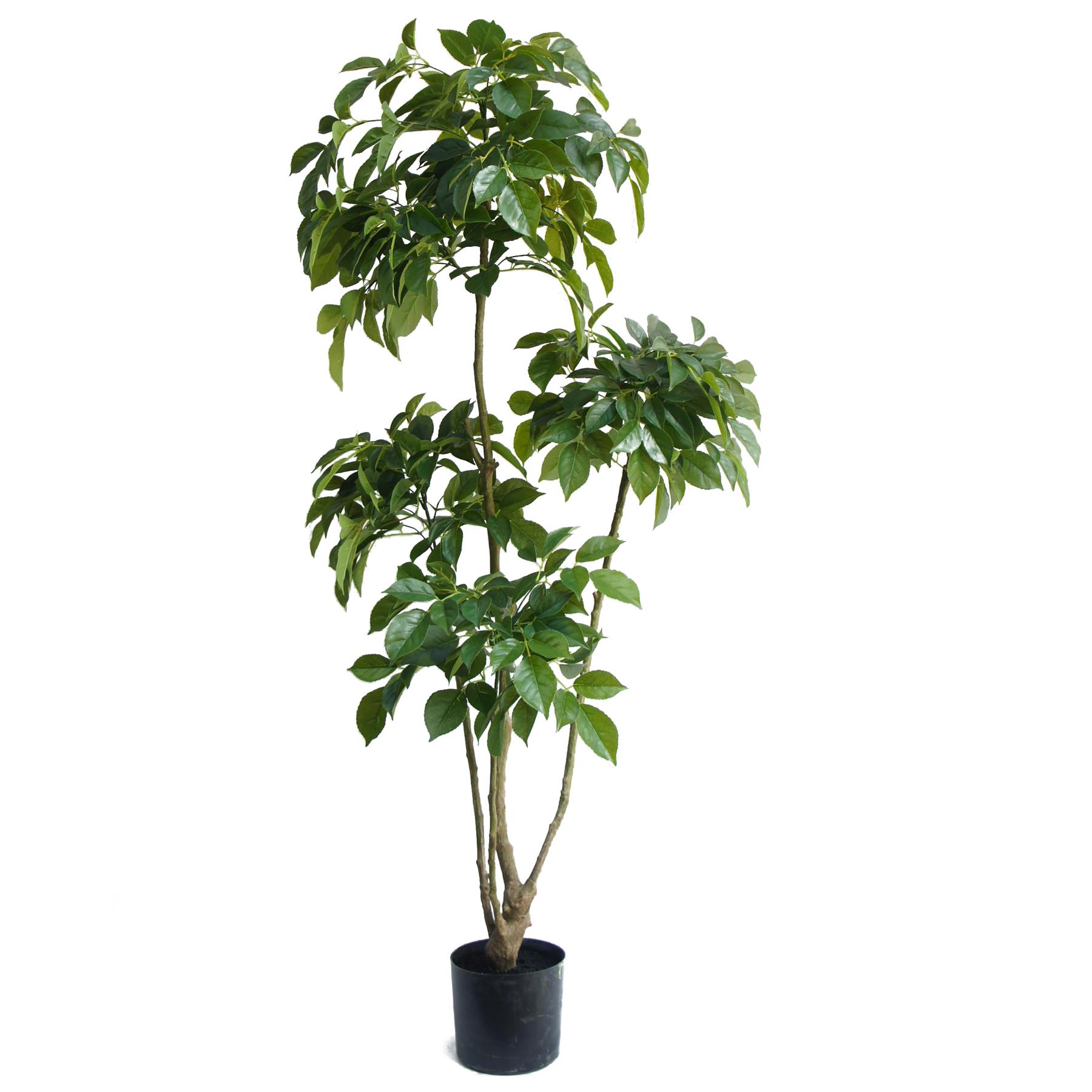 150cm Radermachera Realistic Artificial Tree – Leaf Artificial Plants ...